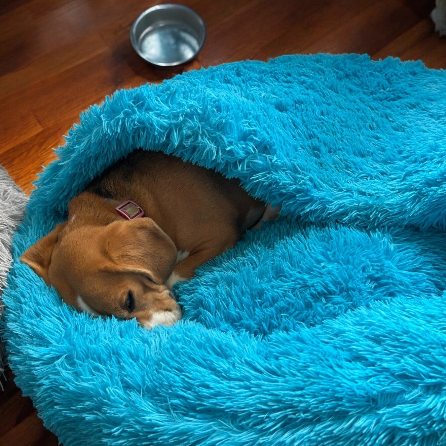 Introducing the Oodle-Doo Burrow Bed Benefits